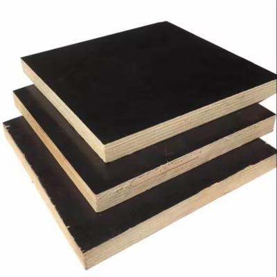 Cina Decorazione a doppio lato Modern Veneer Board 12x18mm Marine Film Faced Plywood Panels in vendita