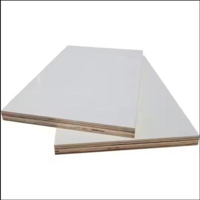 Cina Decorazione a doppio lato Modern Veneer Board 12x18mm Marine Film Faced Plywood Panels in vendita