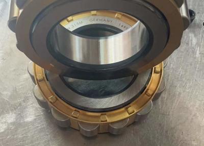 China OEM Cylinder Roller Bearing RN313M Size 65*124.5*33MM RN313 for sale