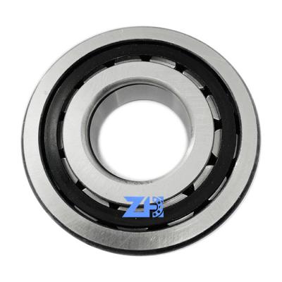 Κίνα NUP307ET2XU 35*80*21mm κυλινδρικό κυλίνδρων ρουλεμάν ενιαίο κλουβί πολυαμιδίων υπόλοιπου κόσμου ευδιαχώριστο προς πώληση