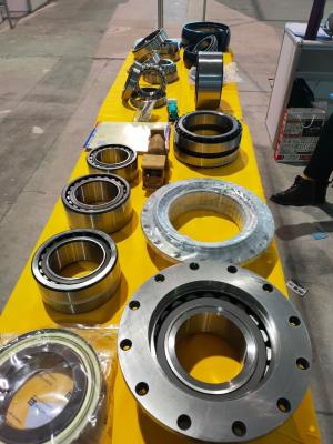 China Single-row full-complement cylindrical roller bearing INA SL183013-A-XL 65mm I.D Cylindrical Roller Bearing 100mm O.D for sale