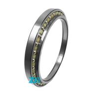 China TZ810B1021-00 Excavator Bearing Chrome Steel P0 P6 P5 P4 Precision for sale