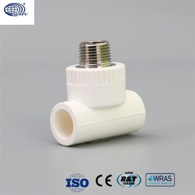 Cina EN 12201-3 T maschio filettato PPR Tee con attacco filettato in vendita