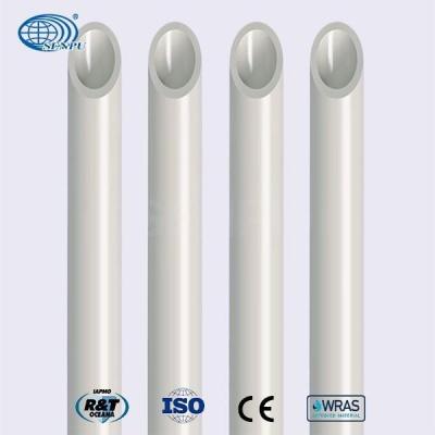 China Tubo PPR de abastecimento de água de construção OEM resistente a produtos químicos à venda