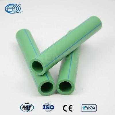 China 100 bis 200 m/Rollen Sanitär-PPR-Rohr für Warm- und Kaltwasserhaushalt zu verkaufen