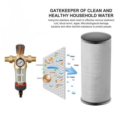 Cina SS316 Well Water Hose Sediment Filter Reusable Pin Down in vendita