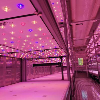 China ODM 25.5m2 Landbouw Hydroponic Containerlandbouwbedrijf voor Bladgroenten Te koop