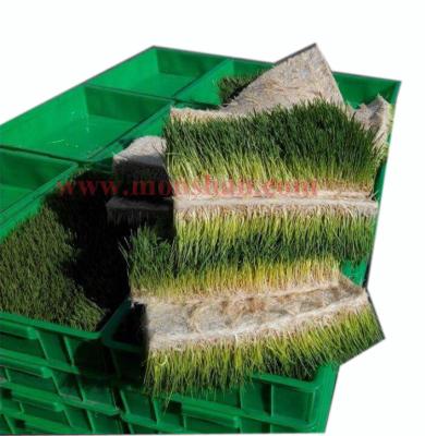 China Hydroponic het Veevoeder Ontspruitend Systeem van 210v-240v 500KG voor Vee Te koop