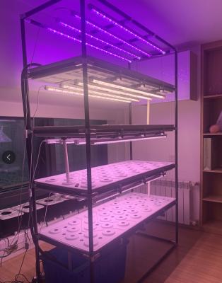 Cina la pianta idroponica d'agricoltura dell'interno della lattuga del cavolo di 150*60cm coltiva la camera 3 strati in vendita