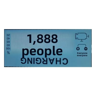 China Car Tire Pressure Monitoring Air Pump with LCD Screen TN Segment Code Display Battery Controller Electronic Components for sale