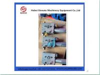 China HAVE Balance Valve Putzmeister Single Interlock Valve 400 440 24V Solenoid Valve Concrete Pump for sale