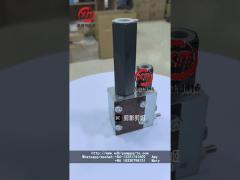 HAVE Balance Valve Putzmeister Single Interlock Valve 400 440 Solenoid Valve For Concrete Pump