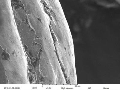 Chine Résolution maximum EDS facultatif du microscope à balayage électronique 60000X de rapport optique 15nm à vendre