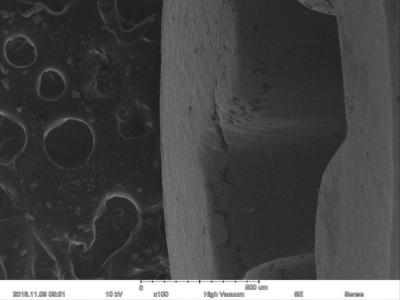 Chine Résolution maximum EDS facultatif du microscope à balayage électronique 60000X de rapport optique 15nm à vendre