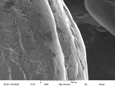 Chine Résolution maximum EDS facultatif du microscope à balayage électronique 60000X de rapport optique 15nm à vendre