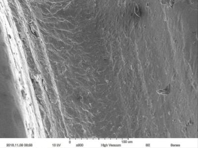 Chine Résolution maximum EDS facultatif du microscope à balayage électronique 60000X de rapport optique 15nm à vendre