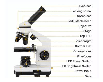 China Éénogige Drawtube-ODM van Studentenbiological microscope 640X Te koop
