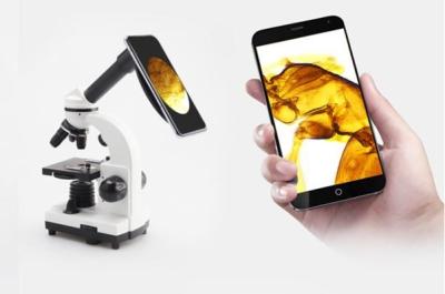 China Éénogige Drawtube-ODM van Studentenbiological microscope 640X Te koop