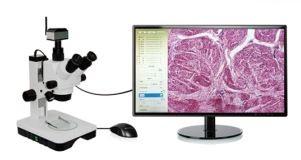 China Cámara digital del microscopio de la transferencia de 60FPS WiFi 4 grupos de la exhibición del retículo en venta