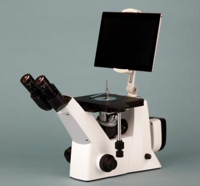 China 50X-1000X Metallurgical Inverted Optical Microscope Combinated Bright Field for sale