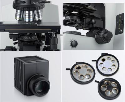 China Semi Apochromatic Optical Metallurgical Microscope Objective 400x Trinocular Head for sale