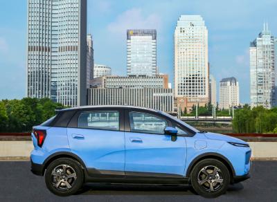 Cina Luxury Small Geometry E Geely Cars EV SUV 2022 60kw in vendita