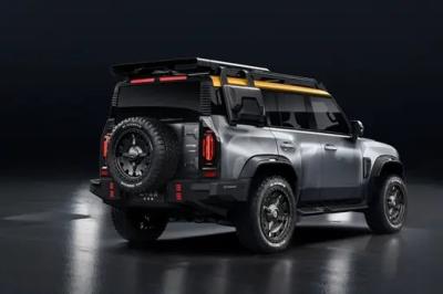Cina Jettu Traveler 2024 2.0TD a trazione integrale Peace Elite God of War Edition in vendita