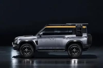 Cina Jettu Traveler 2024 2.0TD a trazione integrale Peace Elite God of War Edition in vendita