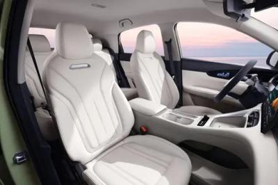 China Star Wish 2025 410km Gratis Edition Te koop