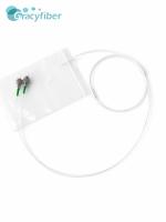 China High Precision 2 Channel Fiber Array 127 250μm Spacing 0 Degree Flat Angle Quartz Glass for Optical Transceivers for sale