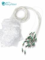 China High Precision 2 Channel Fiber Array 127 250μm Spacing 0 Degree Flat Angle Quartz Glass for Optical Transceivers for sale
