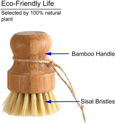 Cina SGS di legno di bambù naturale dell'insieme dell'impianto di lavaggio 48mm del vaso della spazzola di sfregatura di 100% in vendita