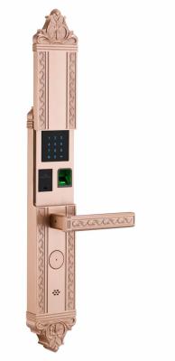 China Zinc Alloy Fingerprint Access Control Door Lock 500 DPI 100 Password for sale