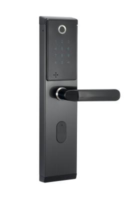 China SS Standalone Fingerprint Recognition Door Locks 500DPI Black for sale