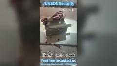 Electric Cabinet Lock JS3031 12V 24V DC