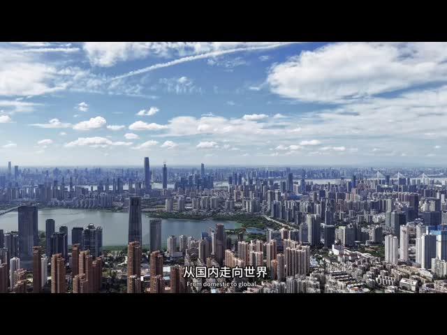 Introduzione dell‘impresa