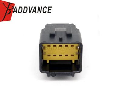China 10 Pin Male Electrical Automotive Wire Harness Connector For Chevrolet Peugeot for sale
