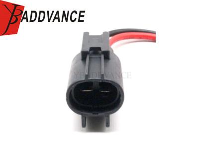 China Electrical With 176143-2 4.8mm Automotive Male 2 Pin Connector Wire Harness For Ford MAZDA Toyota for sale