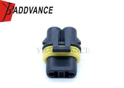 China Hot Sales 2 Pin Electrical Black Waterproof Female Cable Wire To Wire Connector For Fog Lights for sale