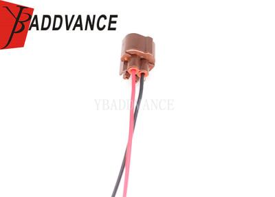 China 2 Way Female Sumitomo Wire Harness / MT Series Brown Loom Pigtail Wire Connectors for sale
