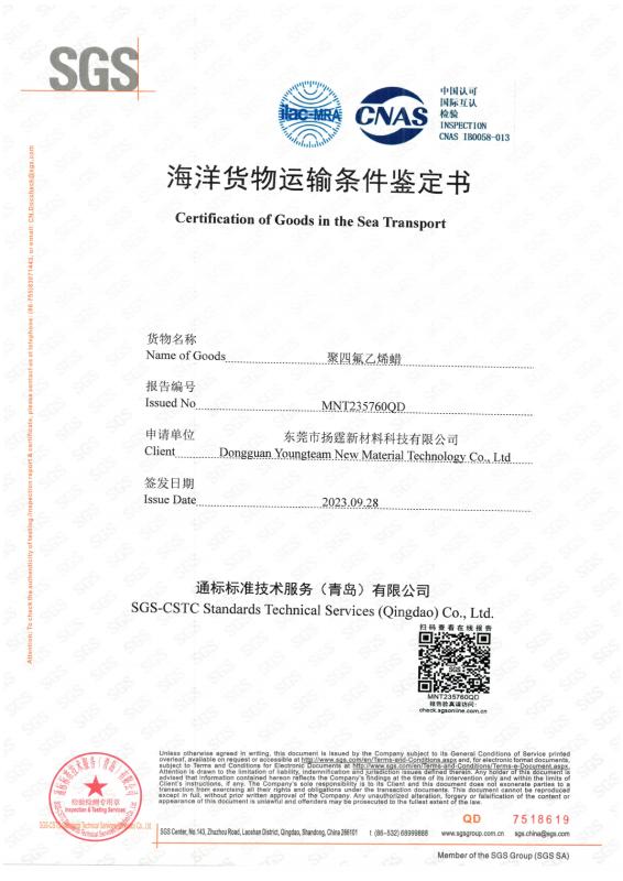  - Dongguan Youngteam New Material Technology Co., Ltd.