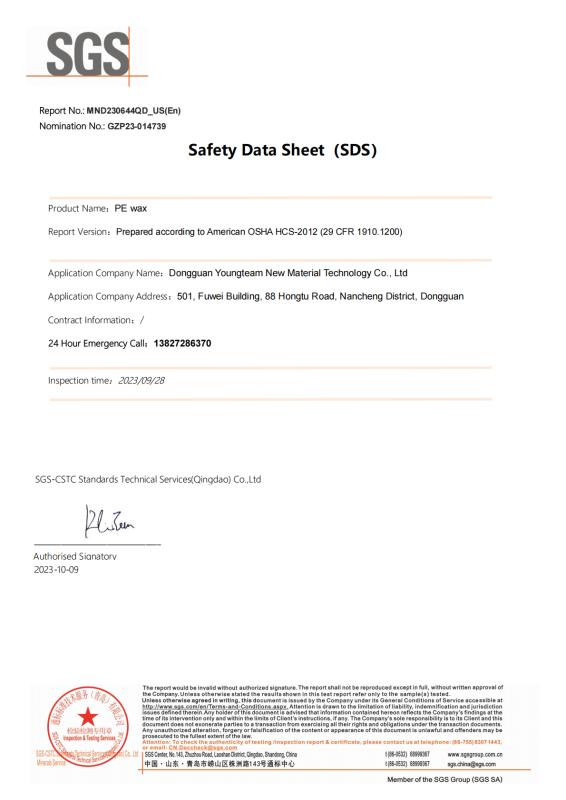  - Dongguan Youngteam New Material Technology Co., Ltd.