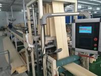 China 550GSM PPS Filter Bags for sale