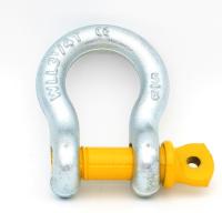 China Custom Forged Screw Pin Bow Shackle Heavy Duty 1-120kg Carbon Steel for sale