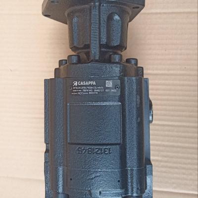 Китай Высокая гарантия Dieci BHD3119 Гидравлический насос Casappa 799141AS продается
