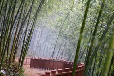 China woodgrain surface wpc deck low carbon life wpc timber for garden decoration for sale