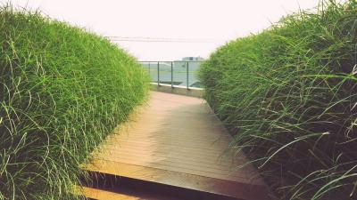 China Advanced wpc decking boards WPC used waterproof interlocking composite decking for sale