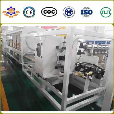 Cina 20 - L'HDPE pp di 110mm convoglia la linea di produzione l'HDPE pp convoglia la fabbricazione della macchina in vendita
