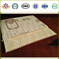 China PVC Wall Panel Extrusion Line WPC Wall Panel Making Machine for sale
