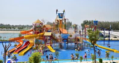 China Toboganes acuáticos de la fibra de vidrio del equipo del patio del agua del estilo del mar para el parque de atracciones en venta